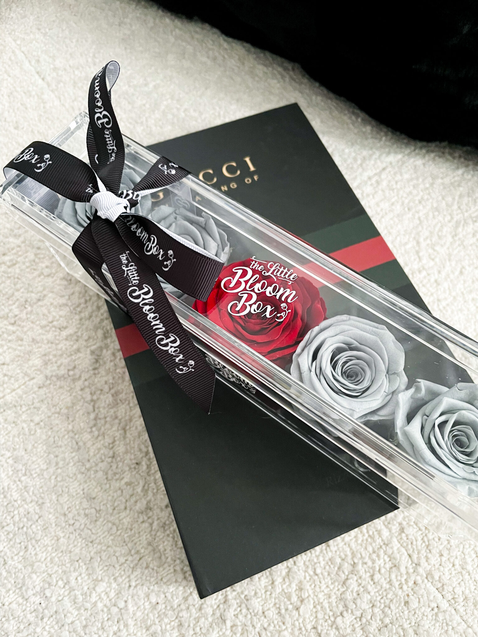 Small Glow Bear – The Little Bloom Box